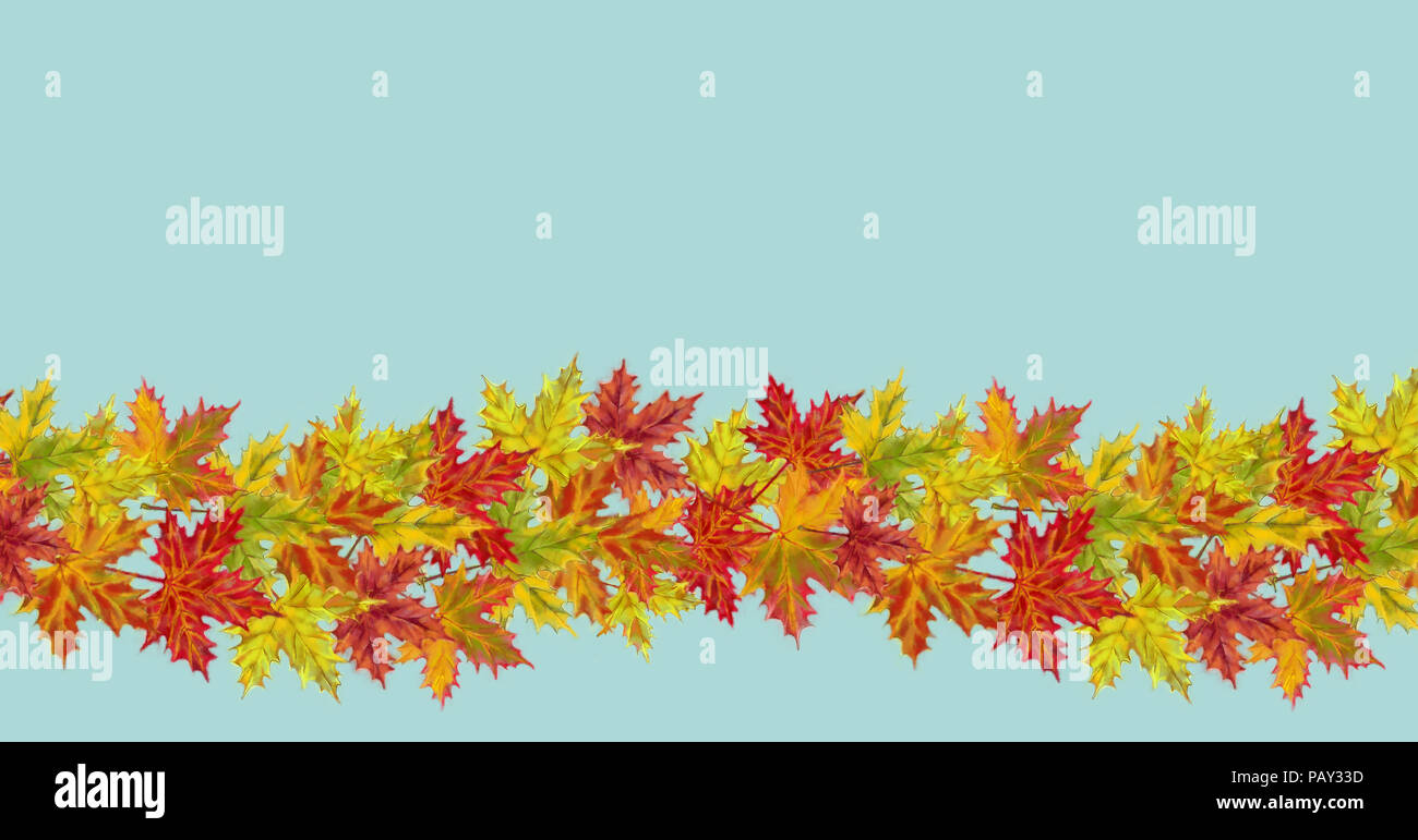 Autumn Maple Leaves Seamless and Continuous Banner on Blue Background ...