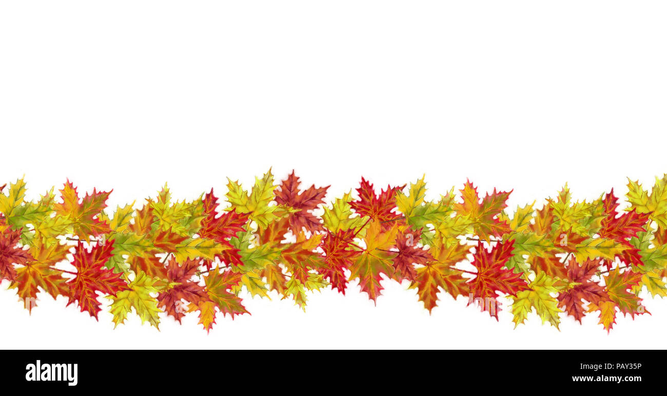 Autumn Maple Leaves Seamless and Continuous Banner on White Background ...