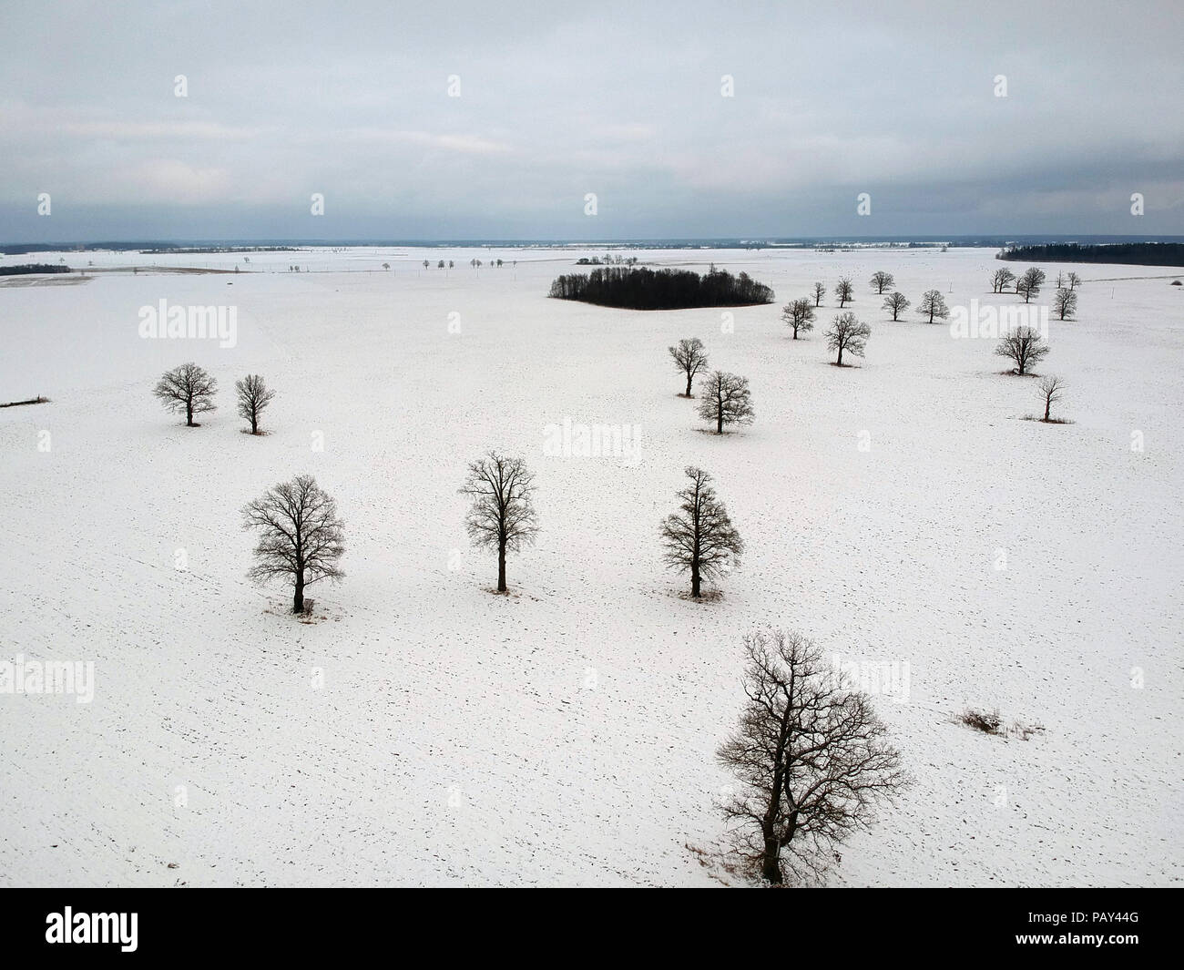 Beautiful farmland field old oaks hi-res stock photography and images ...