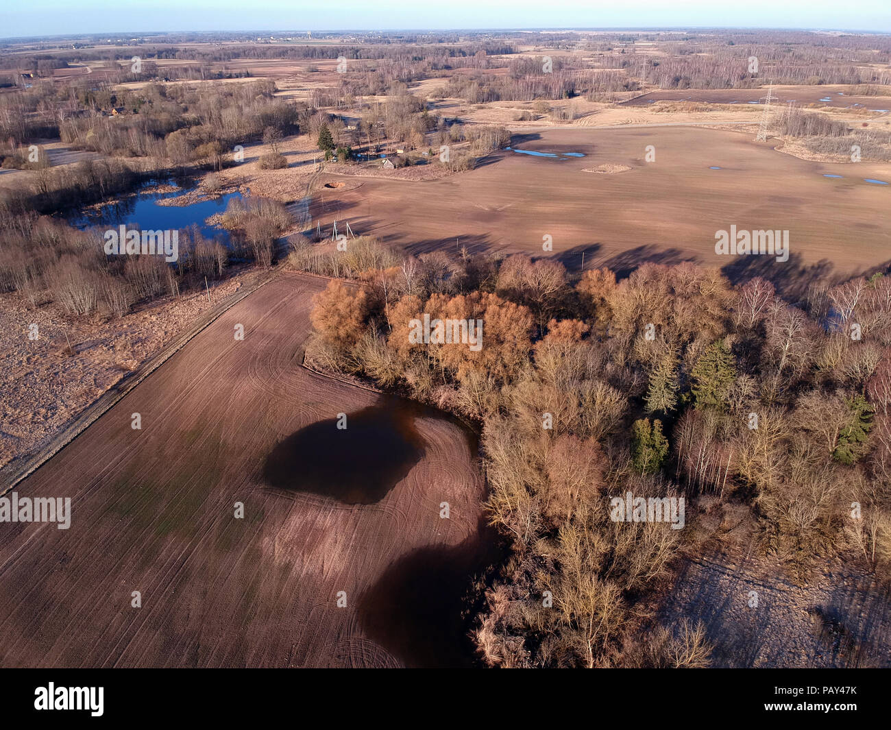 early spring farmland field with puddles and bushes, aerial view Stock ...