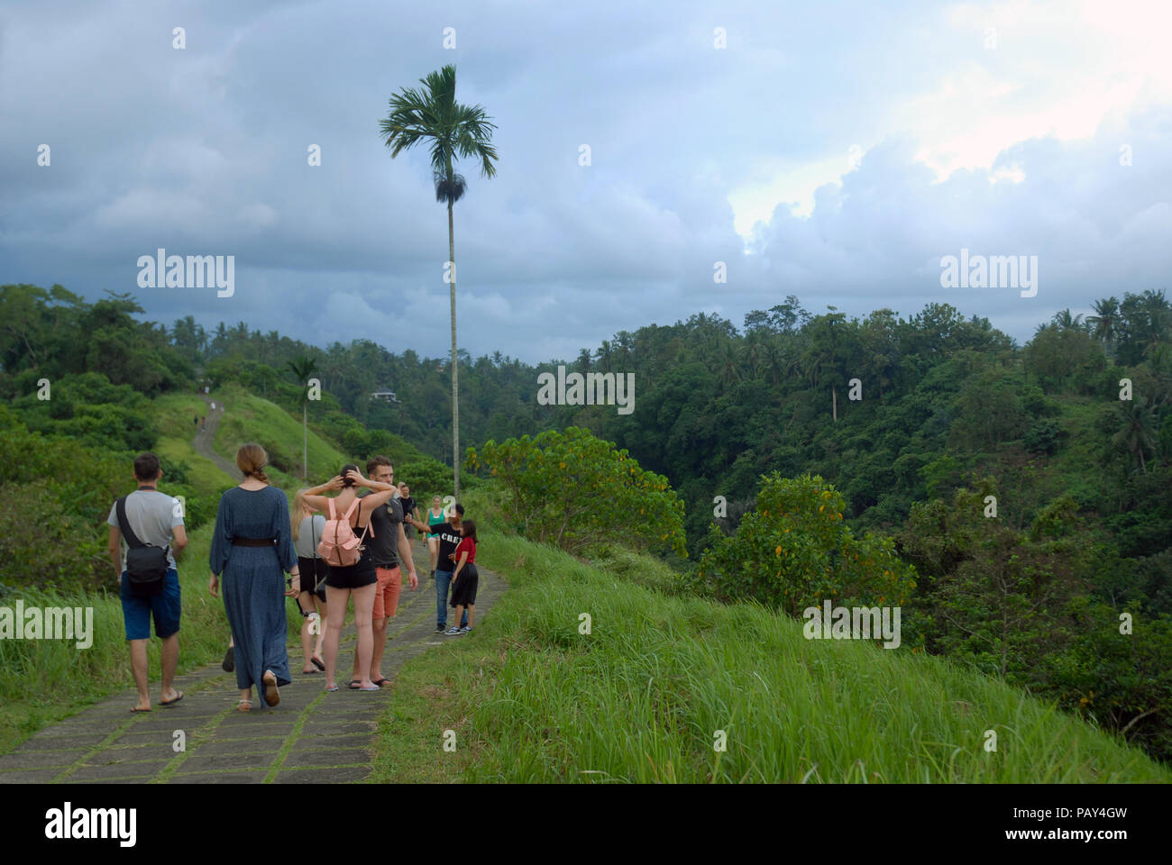 Campuhan Ridge Walk in Ubud, Bali Stock Photo - Alamy