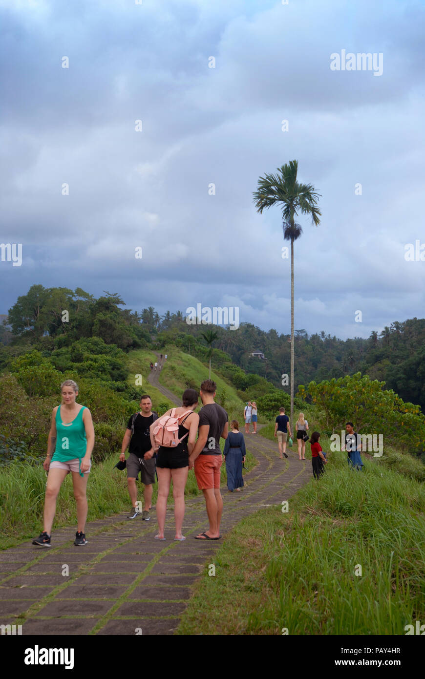 Campuhan Ridge Walk in Ubud, Bali Stock Photo - Alamy