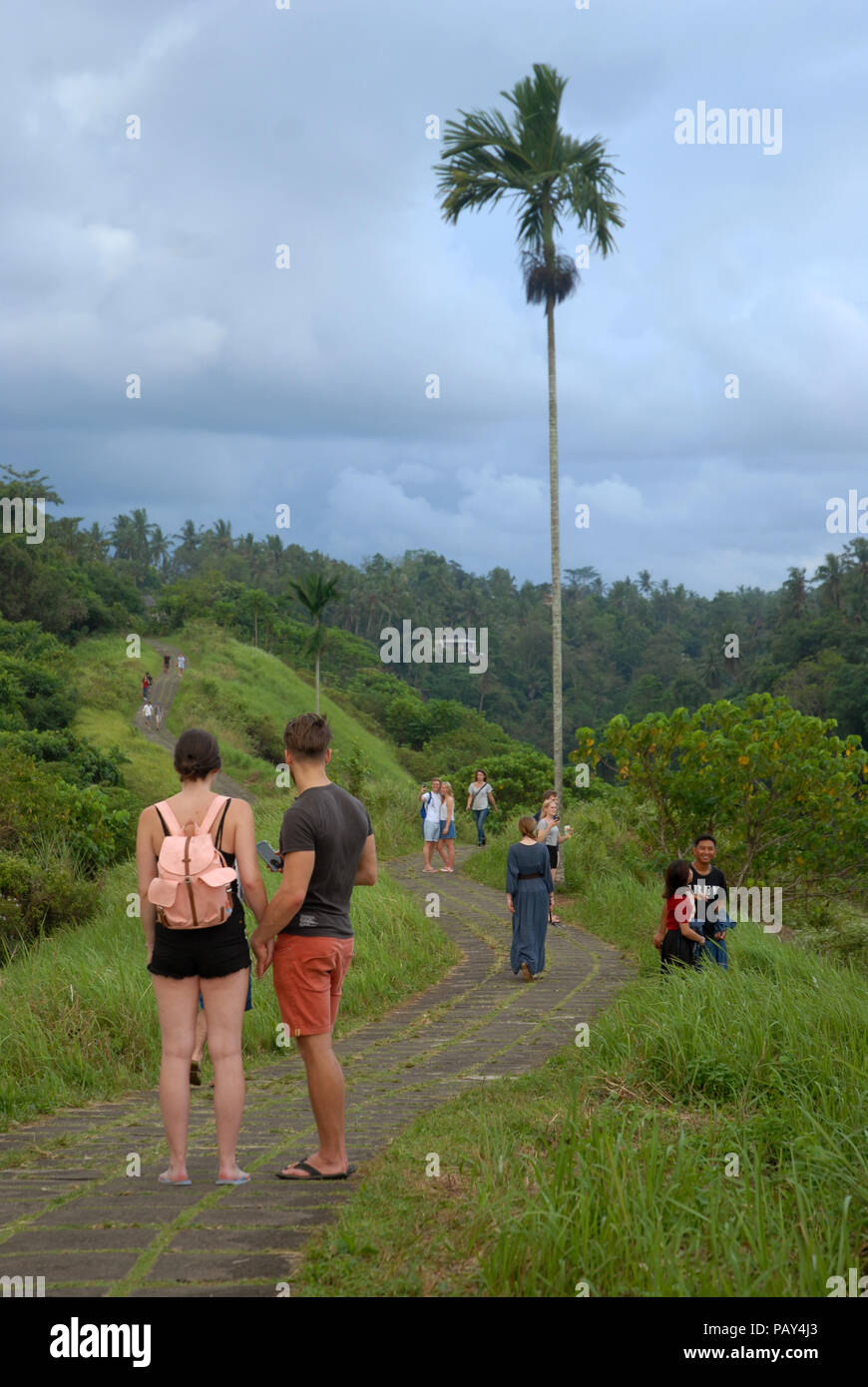 Campuhan Ridge Walk in Ubud, Bali Stock Photo - Alamy