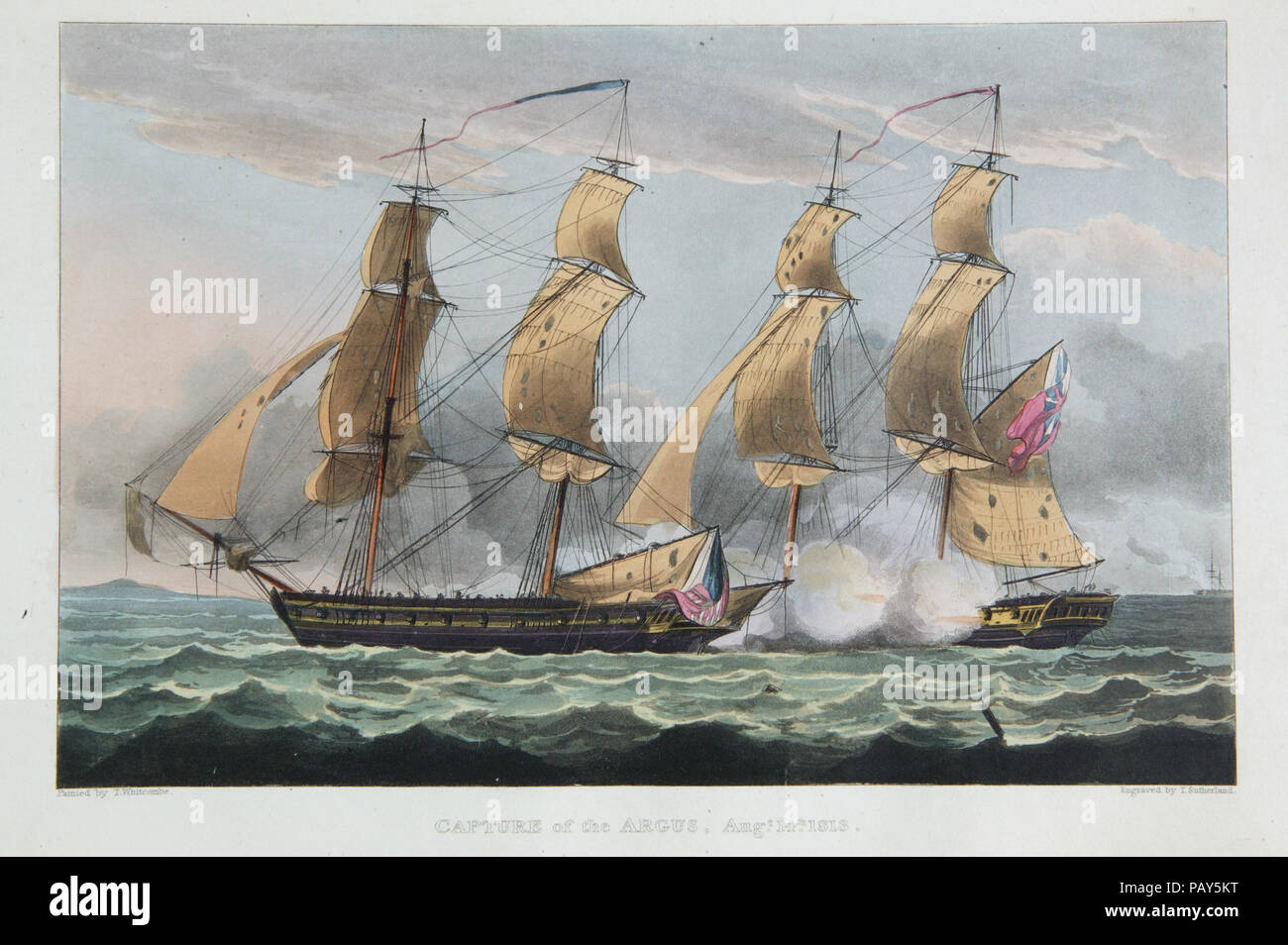 Illustrations argus hi-res stock photography and images - Alamy