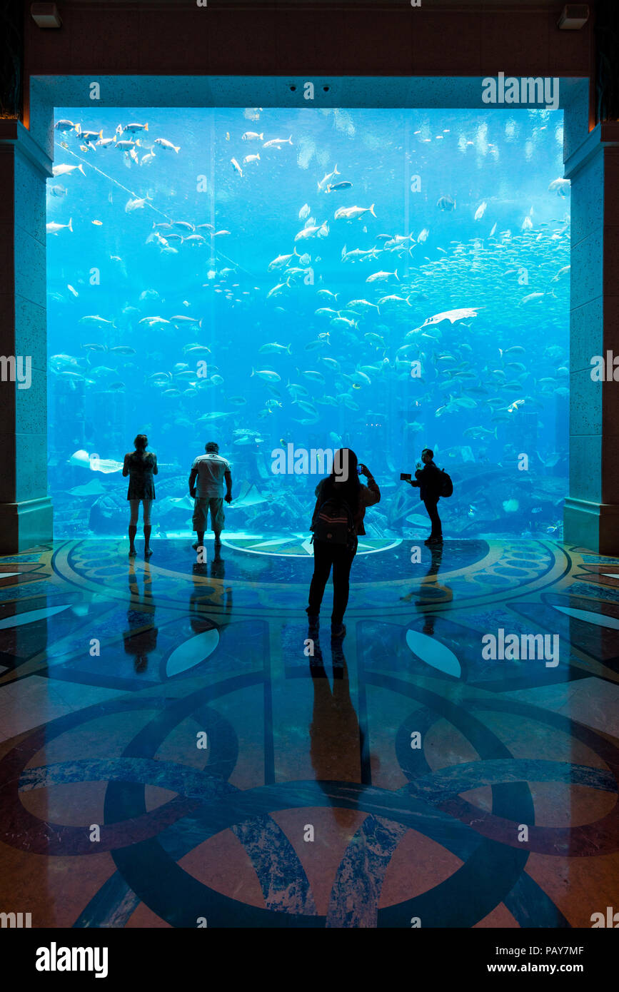 Underwater fish atlantis hi-res stock photography and images - Alamy