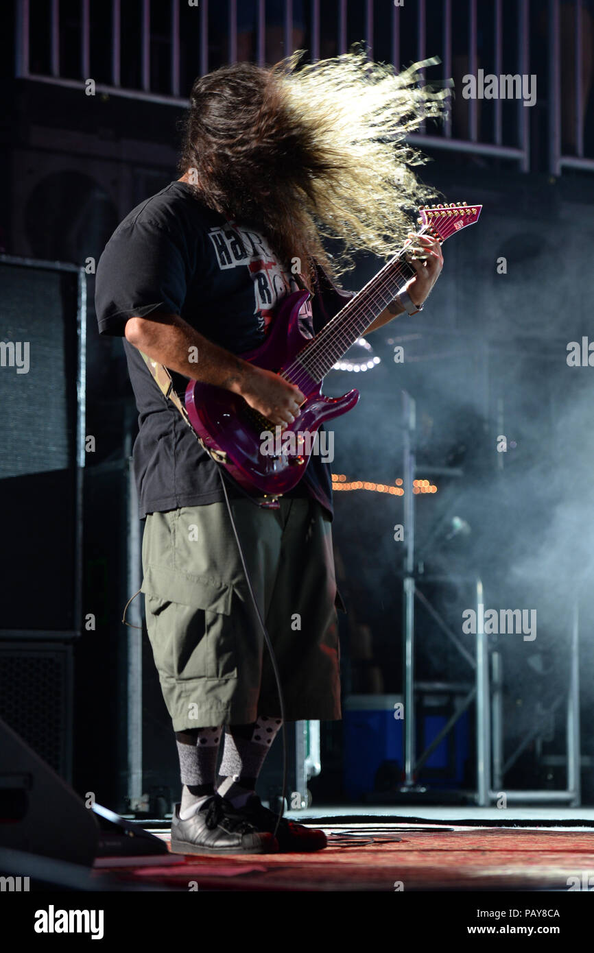 WEST PALM BEACH, FL - AUGUST 14: Stephen Carpenter of Deftones performs ...