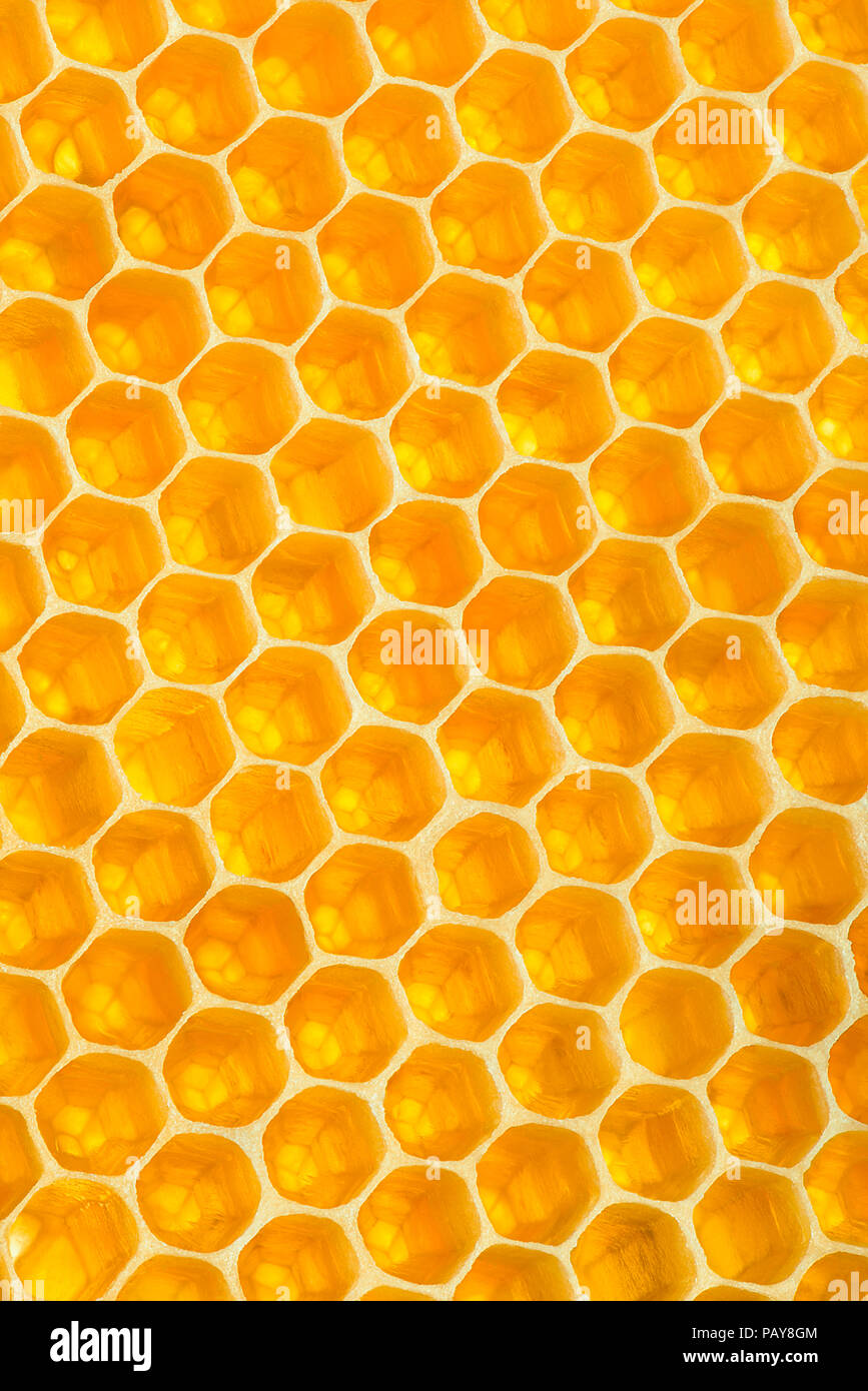 Wax texture hi-res stock photography and images - Alamy