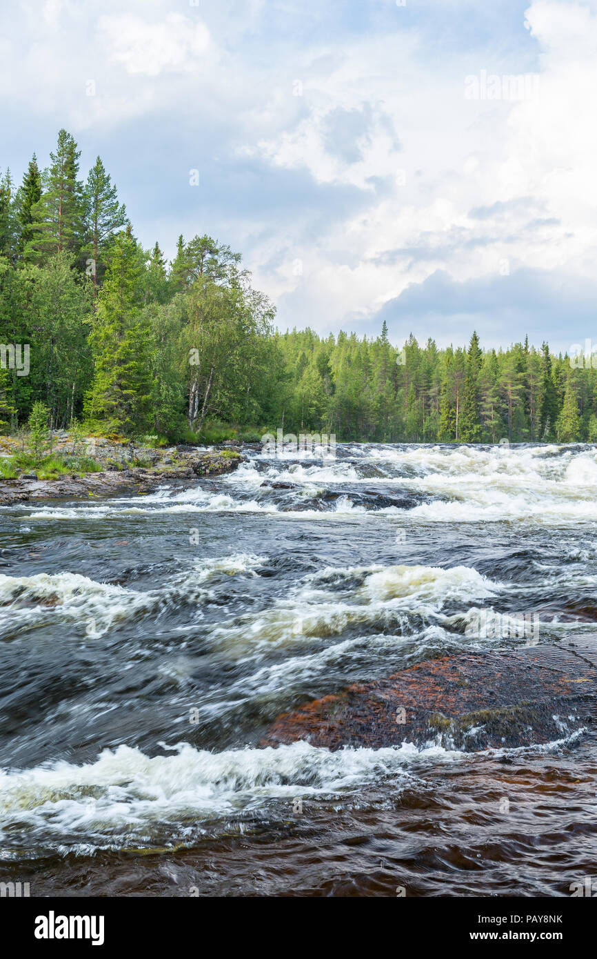 Woodland river scene water cascading hi-res stock photography and ...