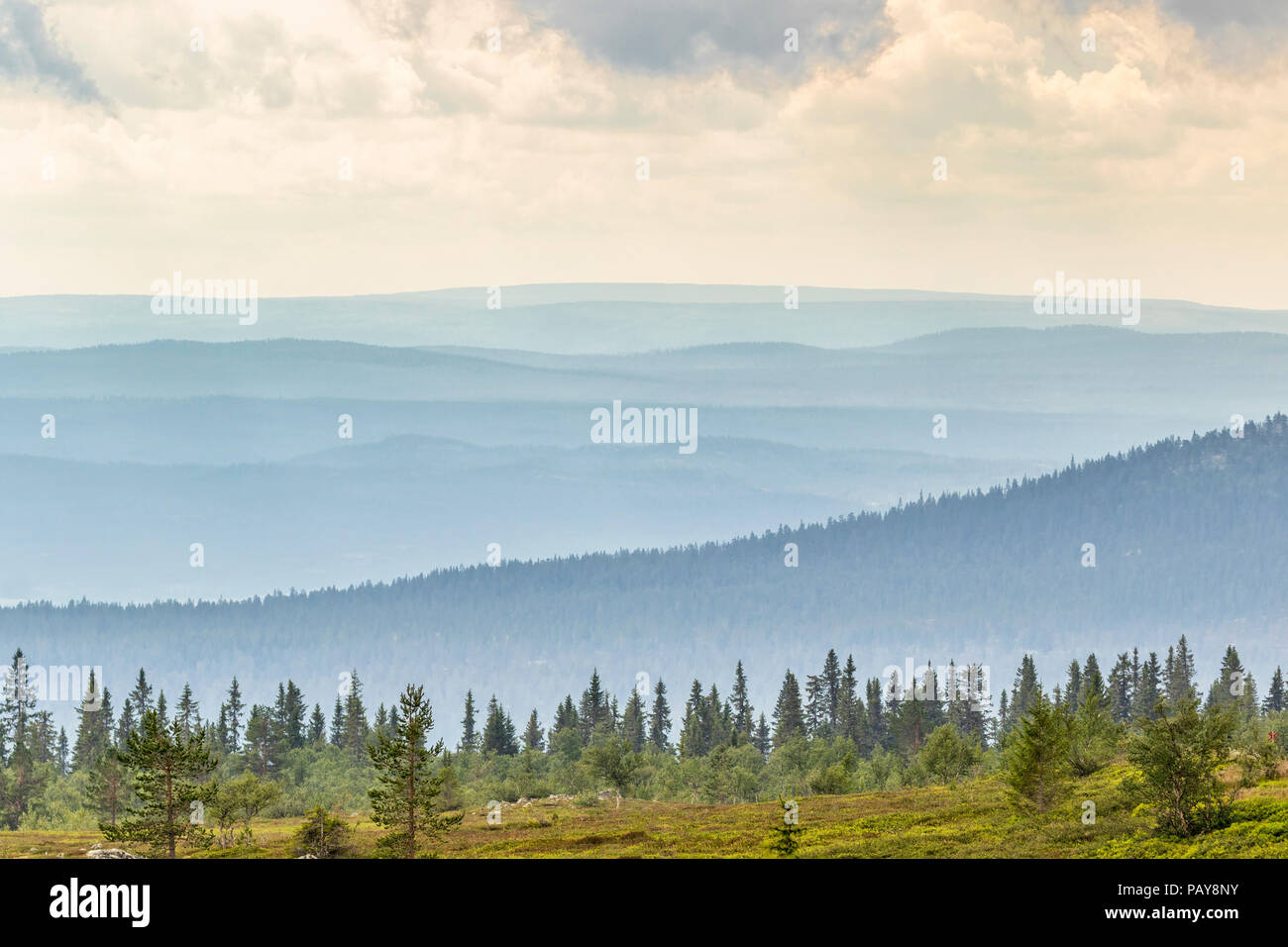 Forest landscape view with shadings over the hills Stock Photo - Alamy