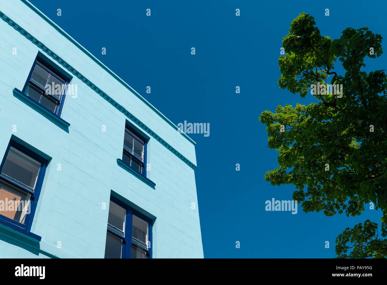 Blue sky, blue house and green tree in the pretty seaside town of Tenby ...
