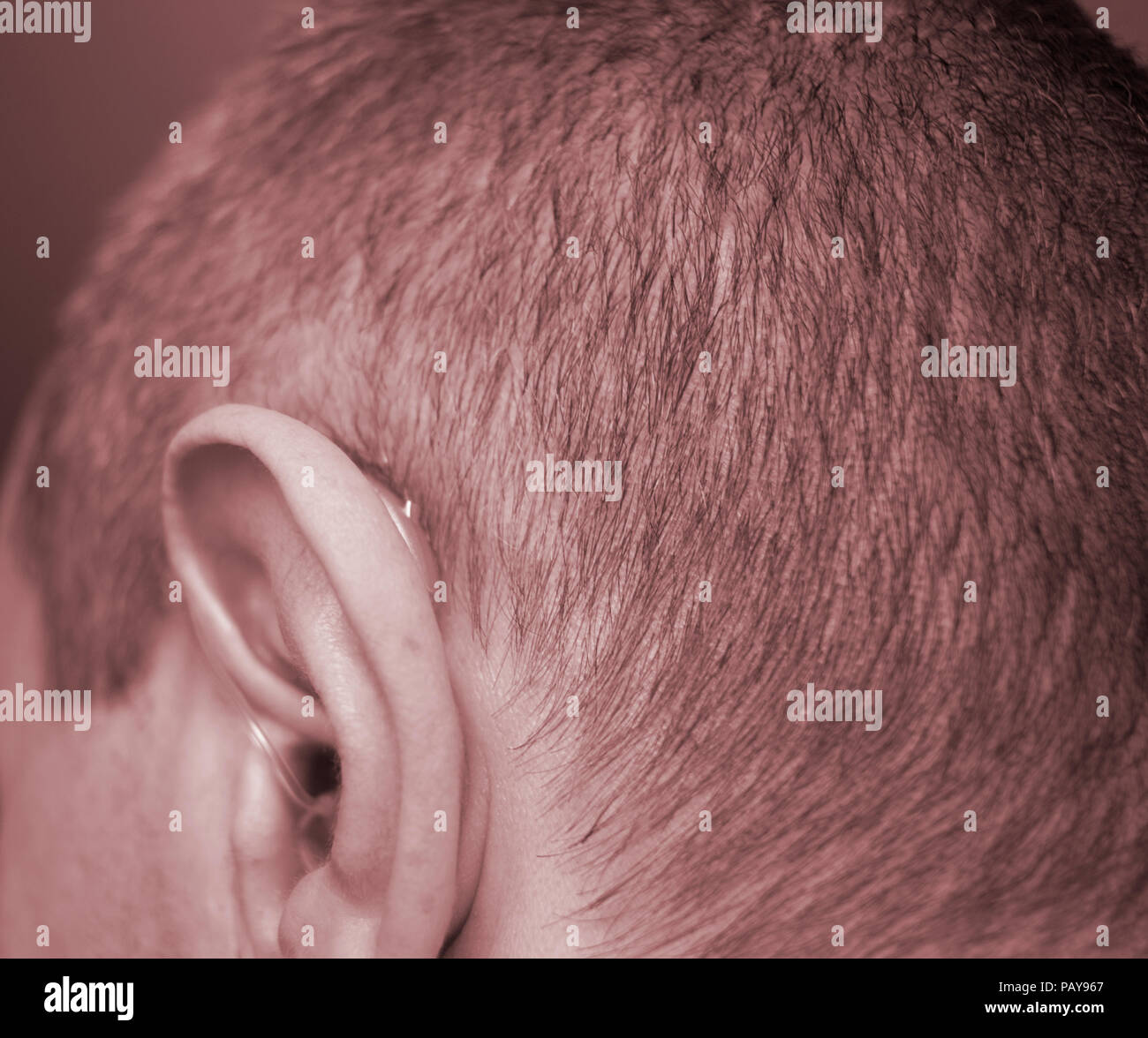 Modern compact in the ear digital audiophone hearing aid in the ear of ...