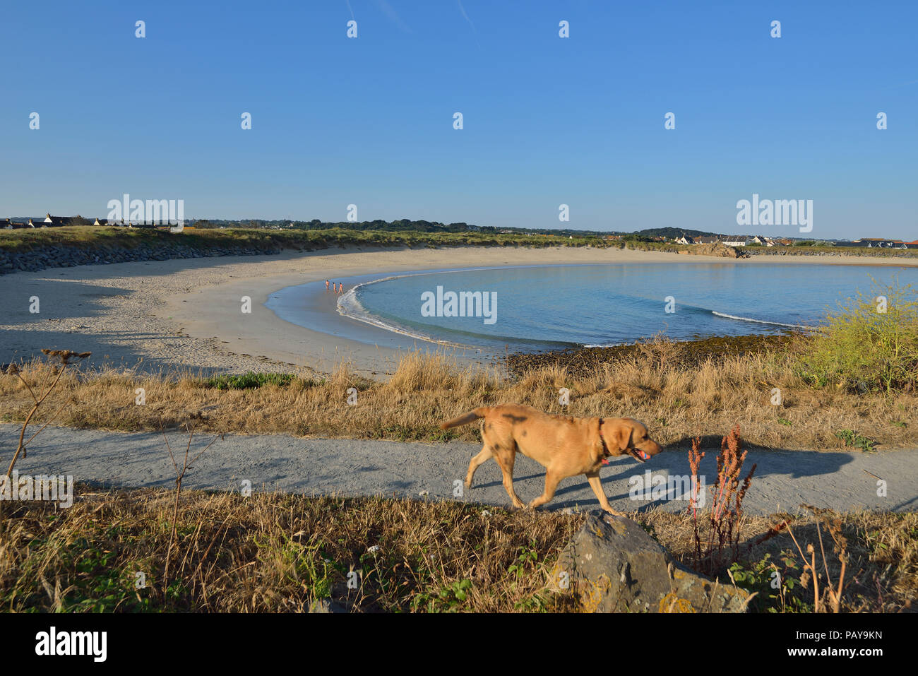 Port Soif Bay, Guernsey, Channel islands, British Islands Stock Photo ...