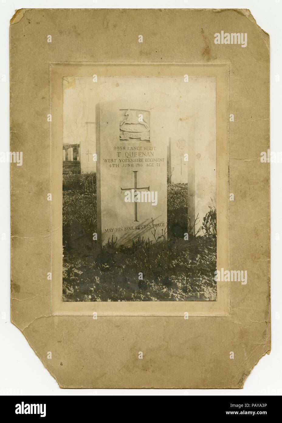 Headstone of Lance Sergeant Thomas Queenan Stock Photo - Alamy