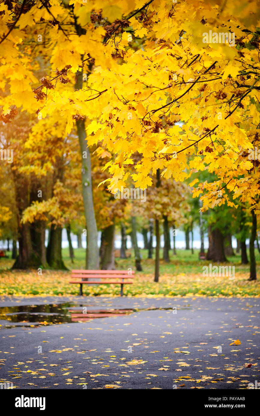 Lane rain autumn tree hi-res stock photography and images - Alamy