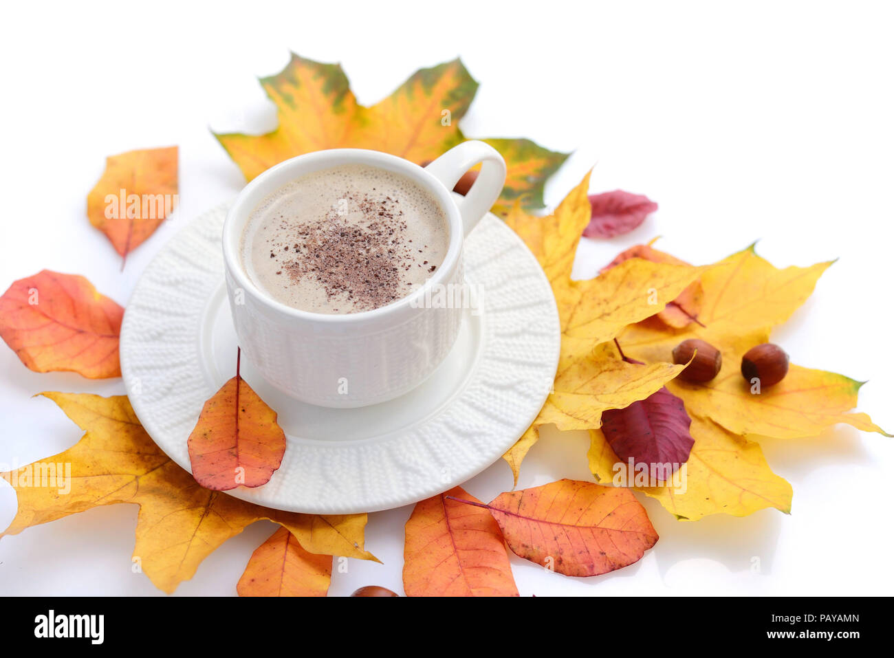 Coffee cup on the autumn fall leaves and white background Stock Photo ...