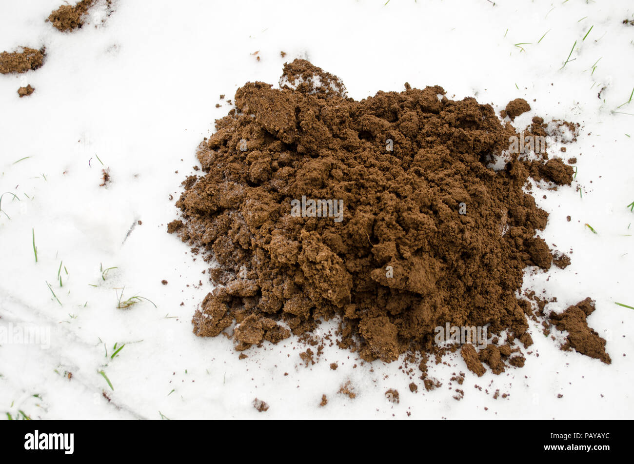 Fresh molehill hi-res stock photography and images - Alamy