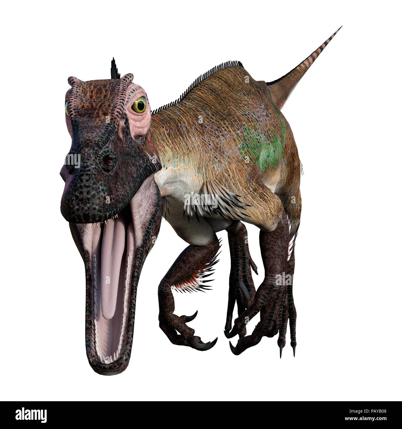 3D rendering of a dinosaur utahraptor isolated on white background ...