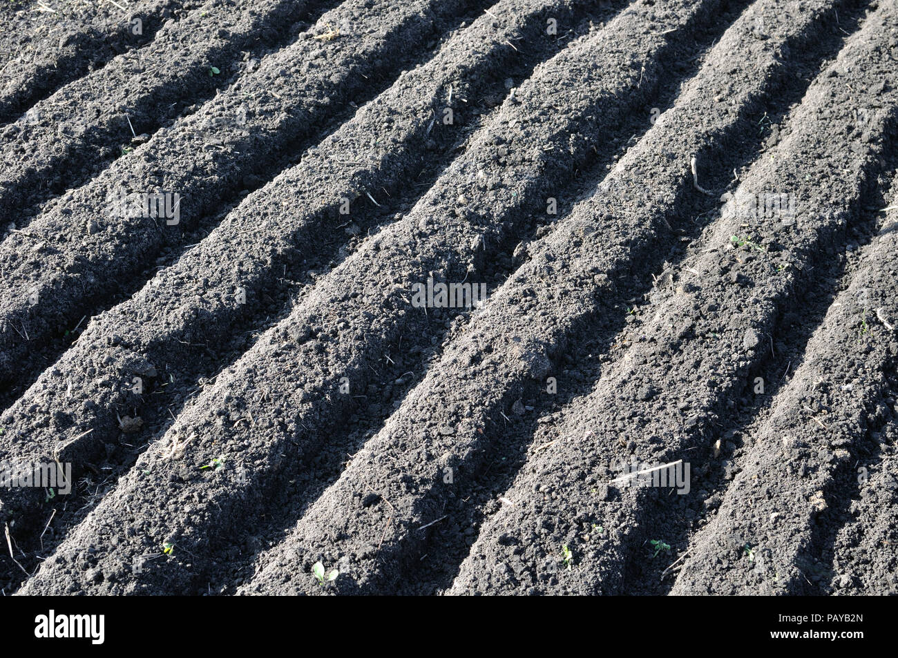 plowed field,black earth, before the planting Stock Photo - Alamy