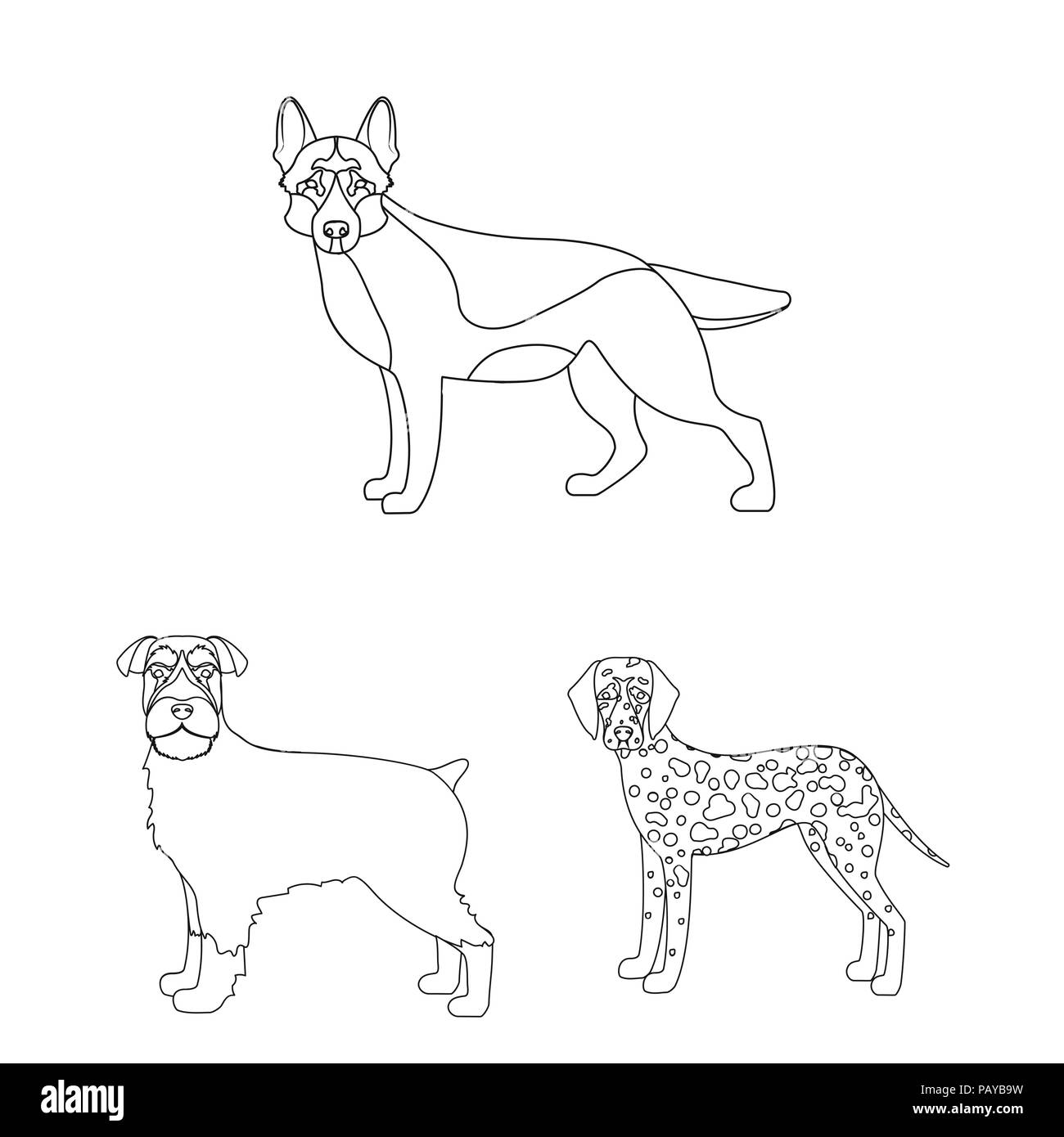 Dog breeds outline icons in set collection for design.Dog pet vector ...