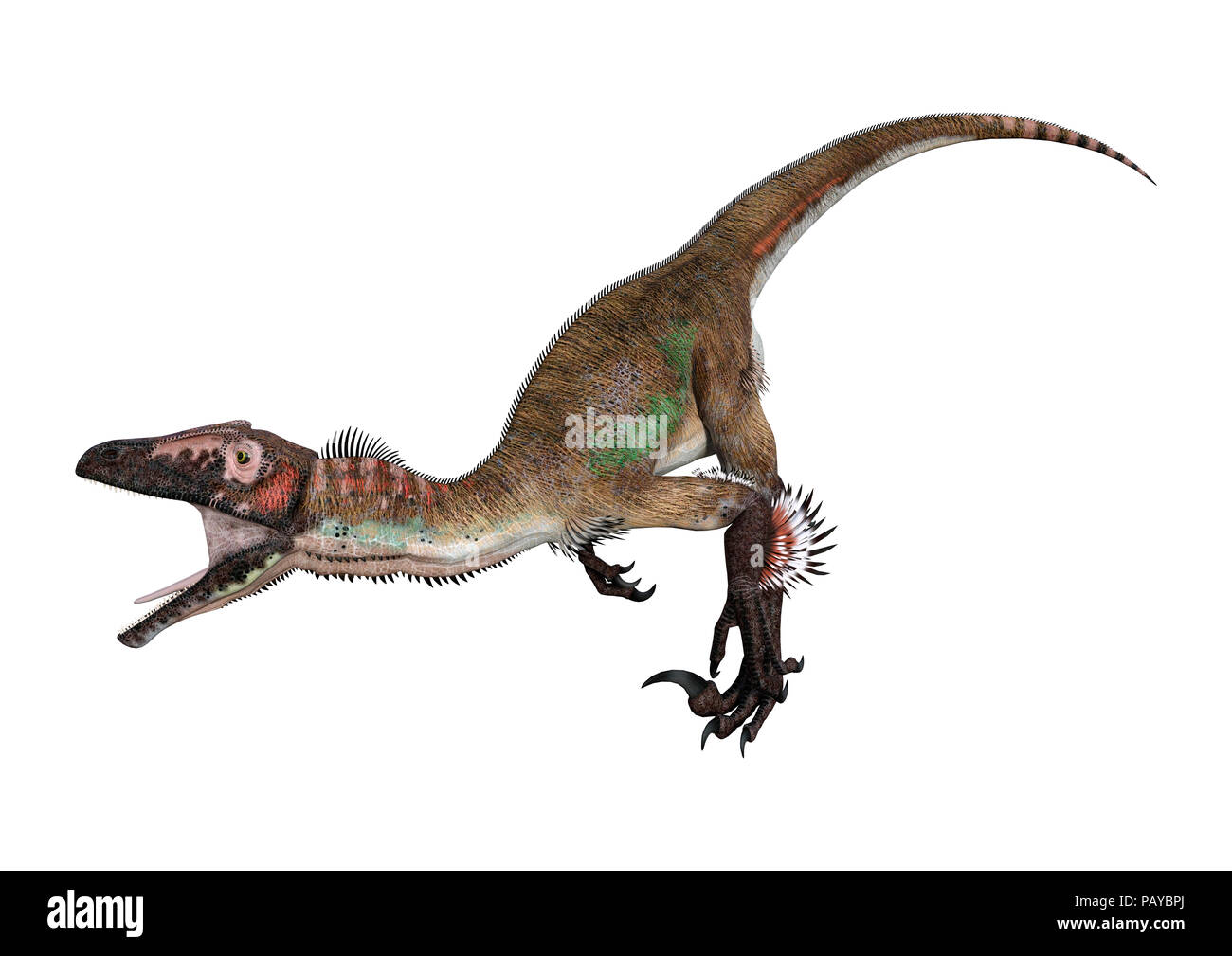 3D rendering of a dinosaur utahraptor isolated on white background ...
