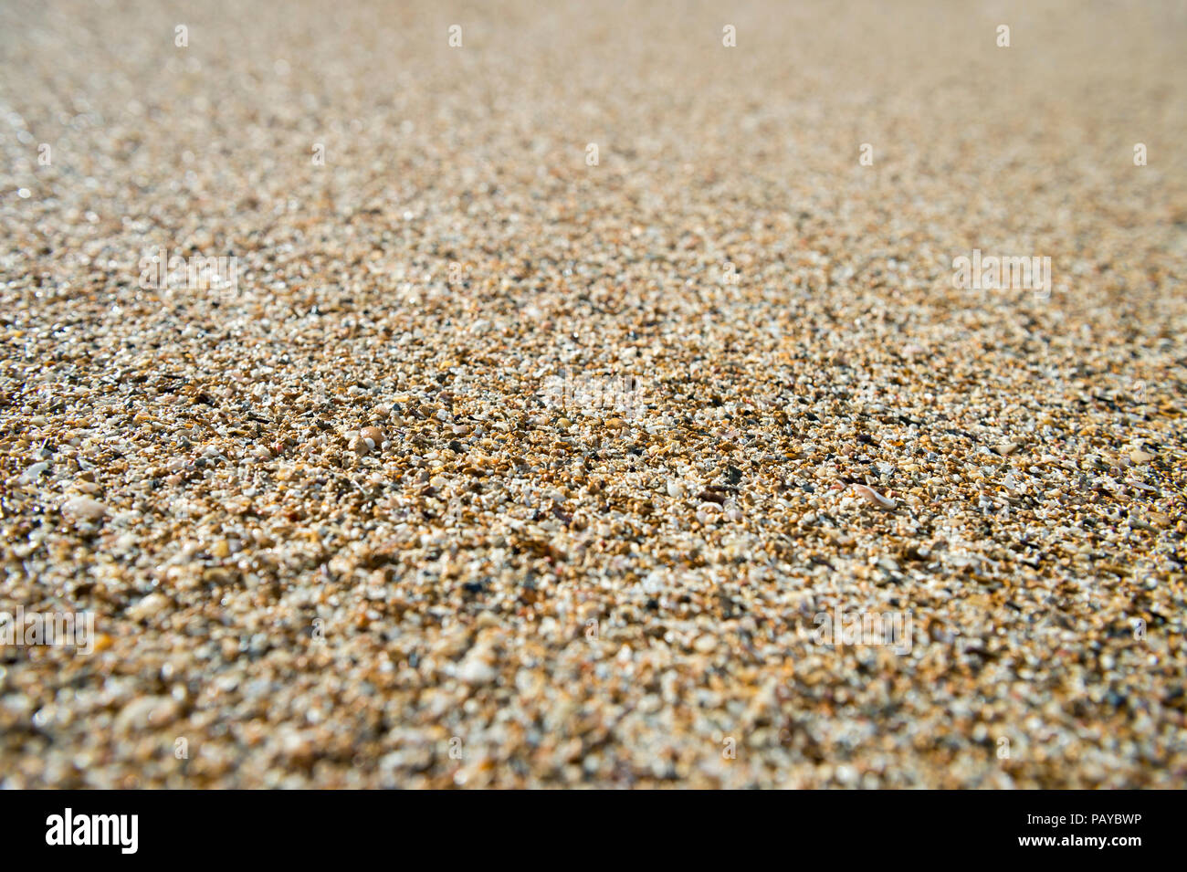 Close-up abstract view of sand texture made from broken shells and ...