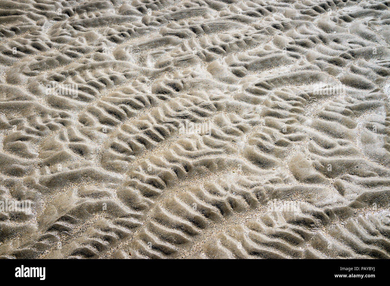 Abstract view of ripple texture left in the sand on a beach at low tide ...