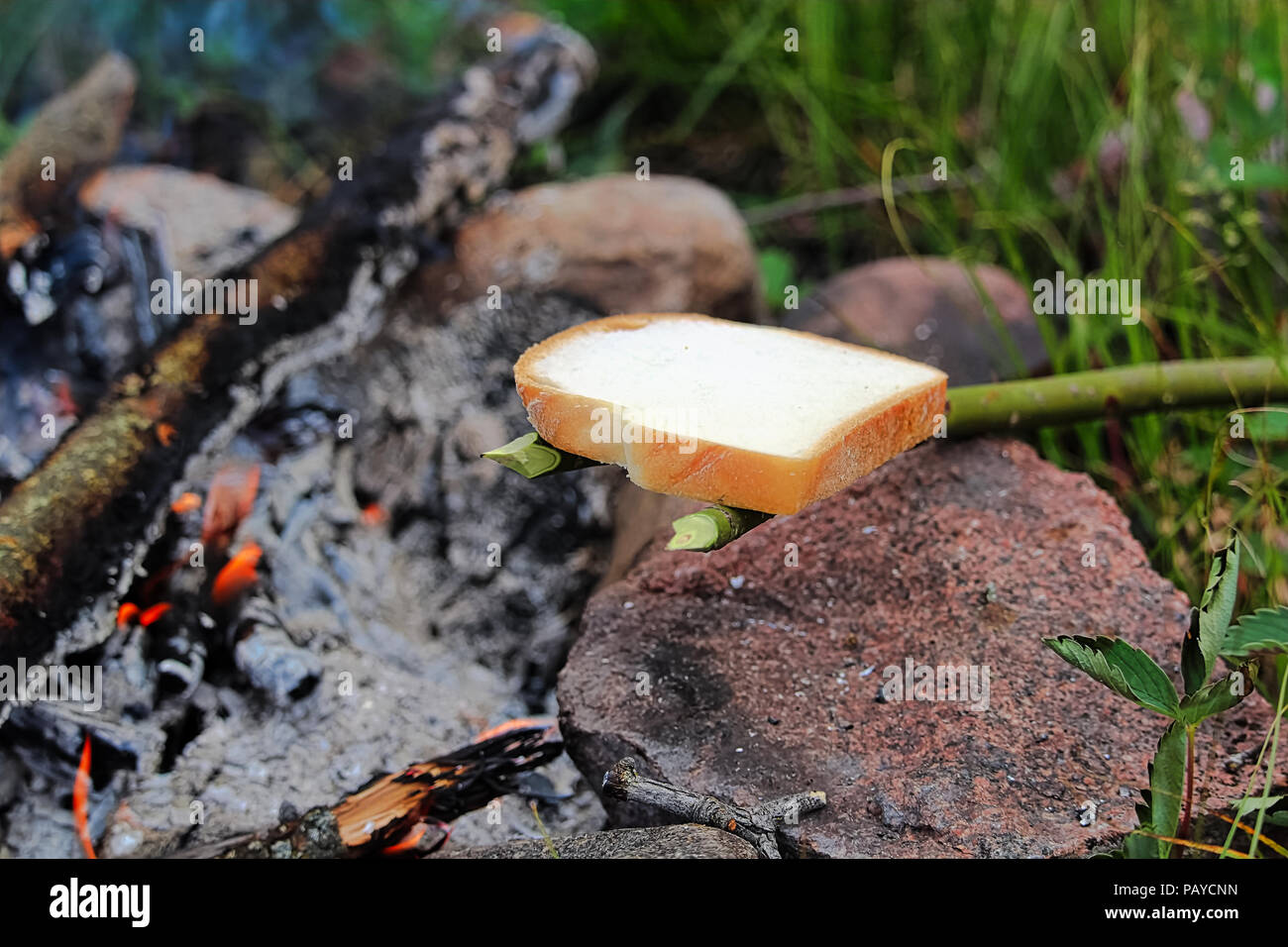 Toast using hi-res stock photography and images - Alamy