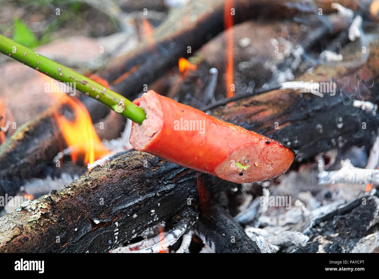 Cooking sausage on a stick over a campfire Stock Photo - Alamy