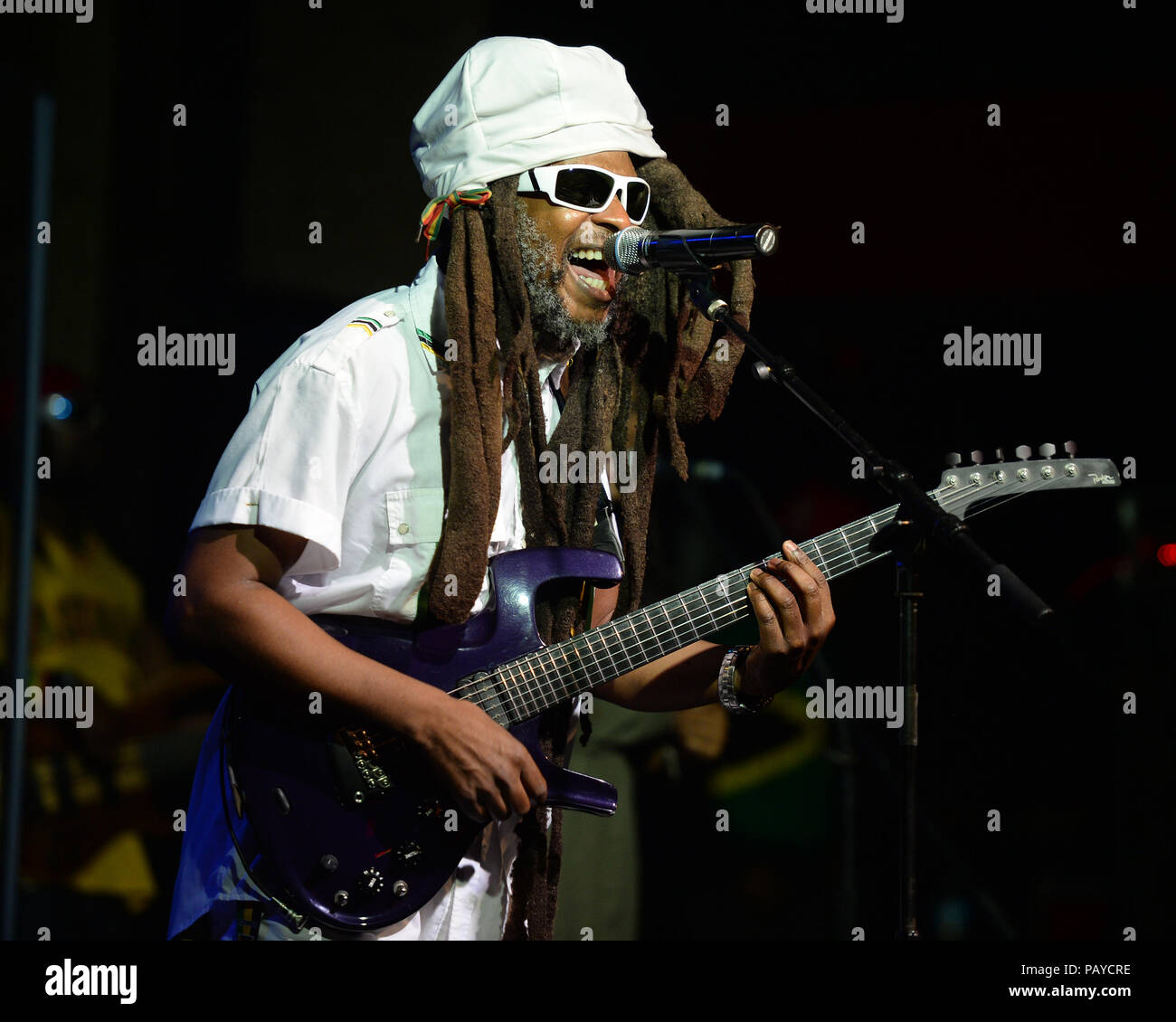 Steel pulse david hi-res stock photography and images - Alamy