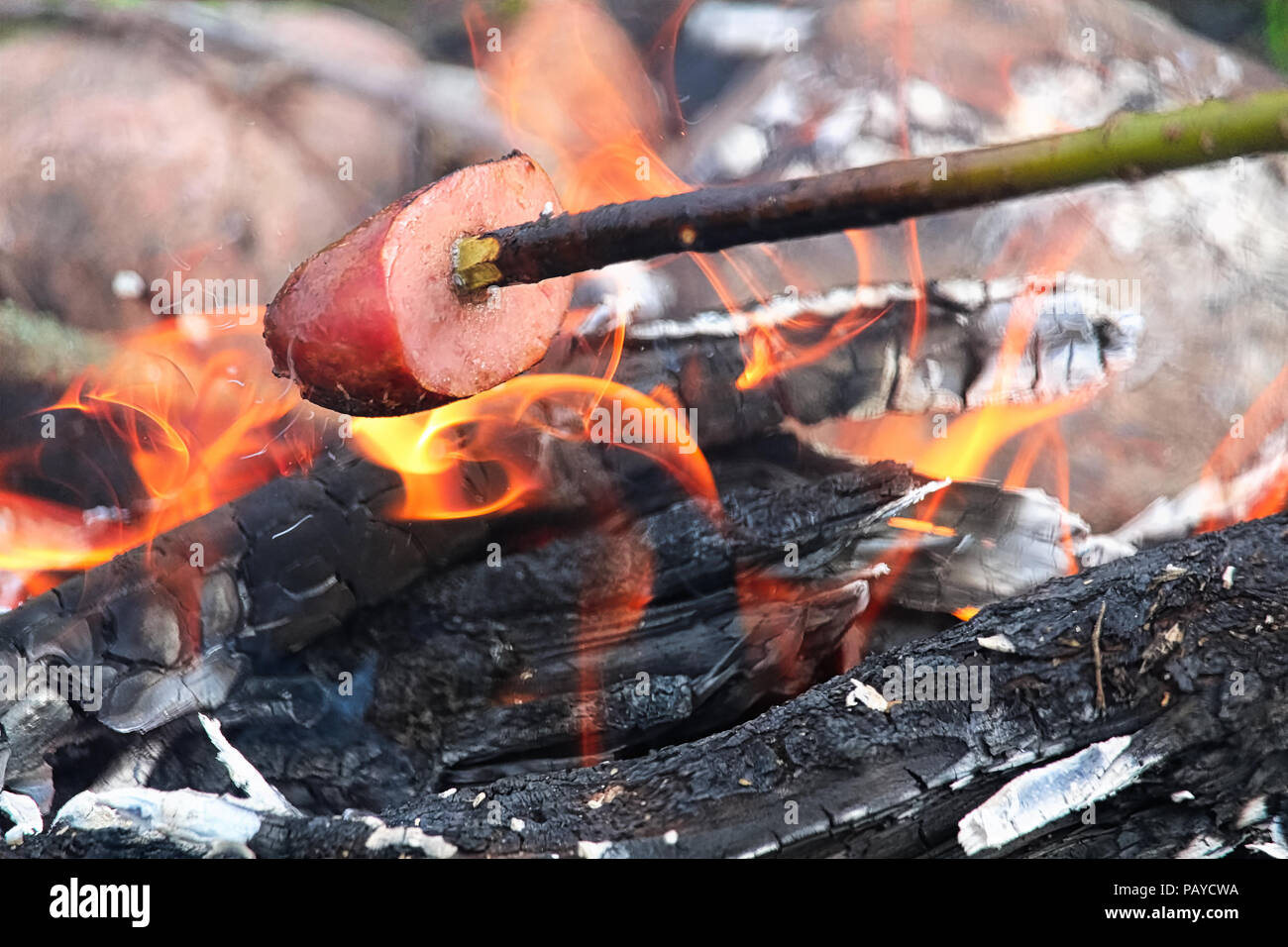 Sausage on a stick hi-res stock photography and images - Alamy