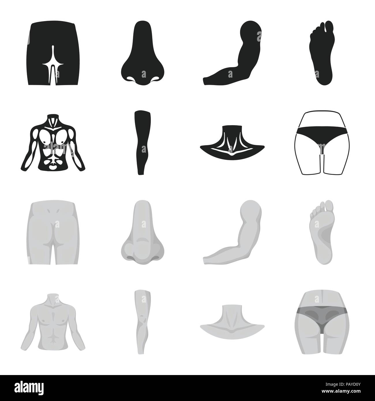 Torso, leg, neck and buttocks. Body parts set collection icons in black ...