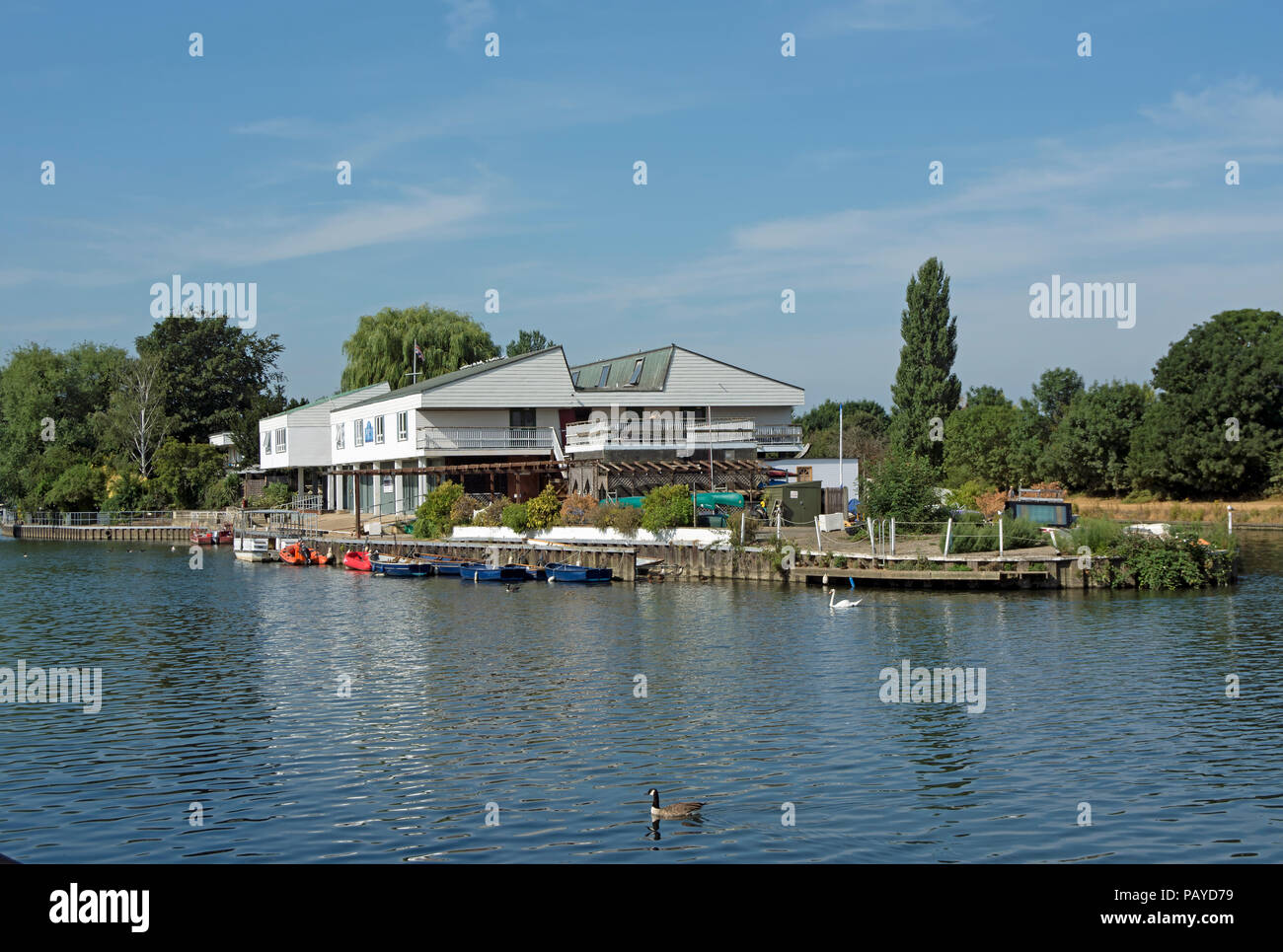 Raven ait hi-res stock photography and images - Alamy