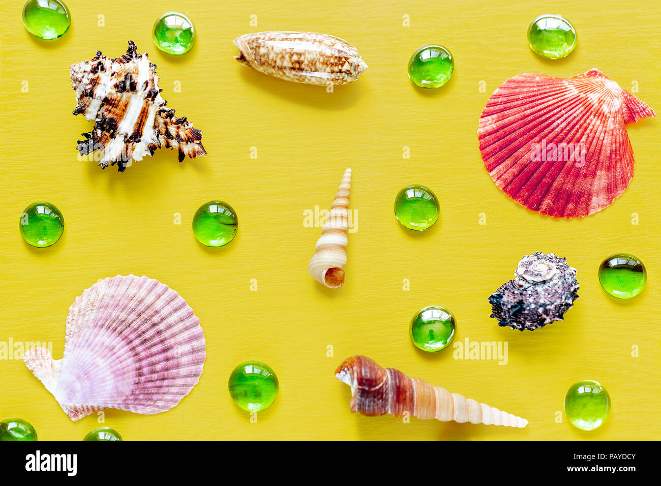 Shells on bright yellow. Beautiful summer background. Flat lay. Texture ...