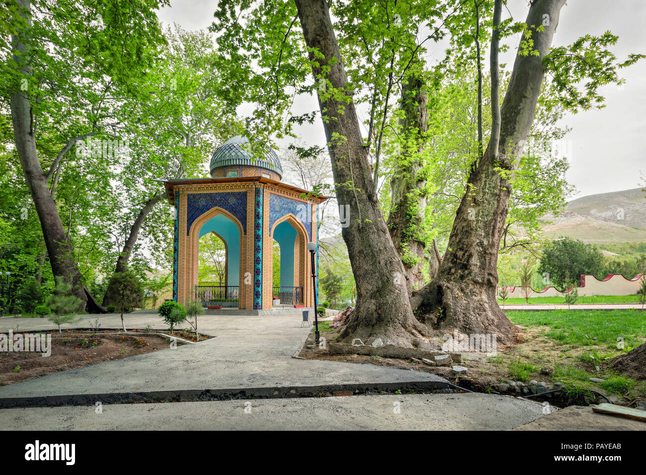 Chor-Chinor garden with unusual sycamores, the age of the oldest one is ...