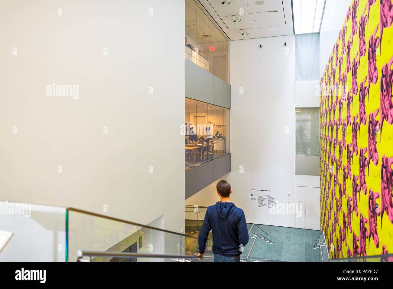 NEW YORK, USA - OCT 8, 2015: Interior of the Museum of Modern Art (MoMA ...