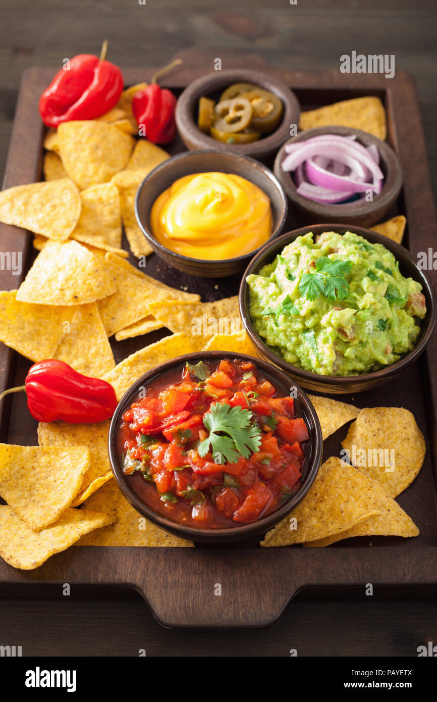 mexican nachos tortilla chips with guacamole, salsa and cheese dip ...