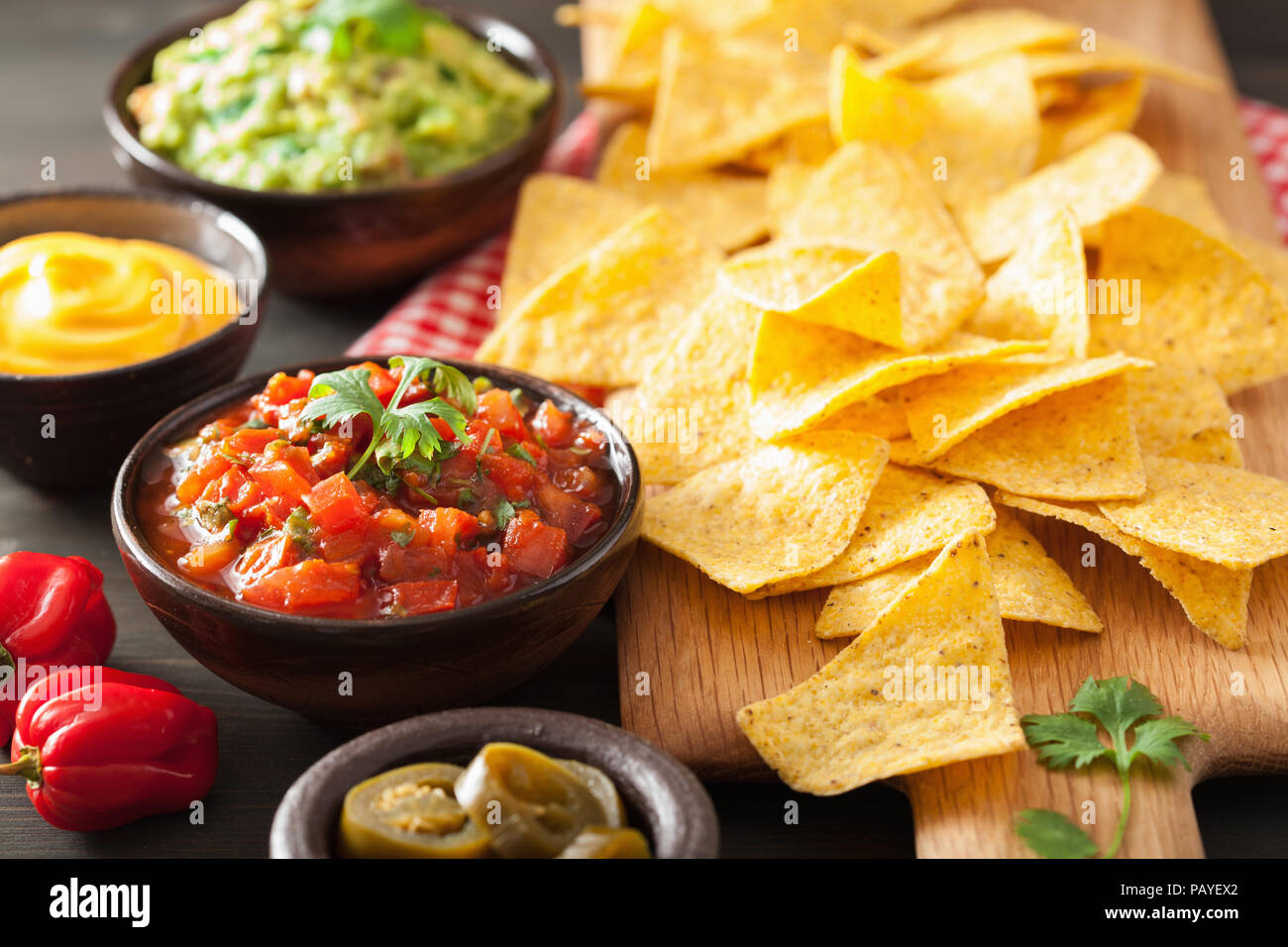 mexican nachos tortilla chips with guacamole, salsa and cheese dip ...