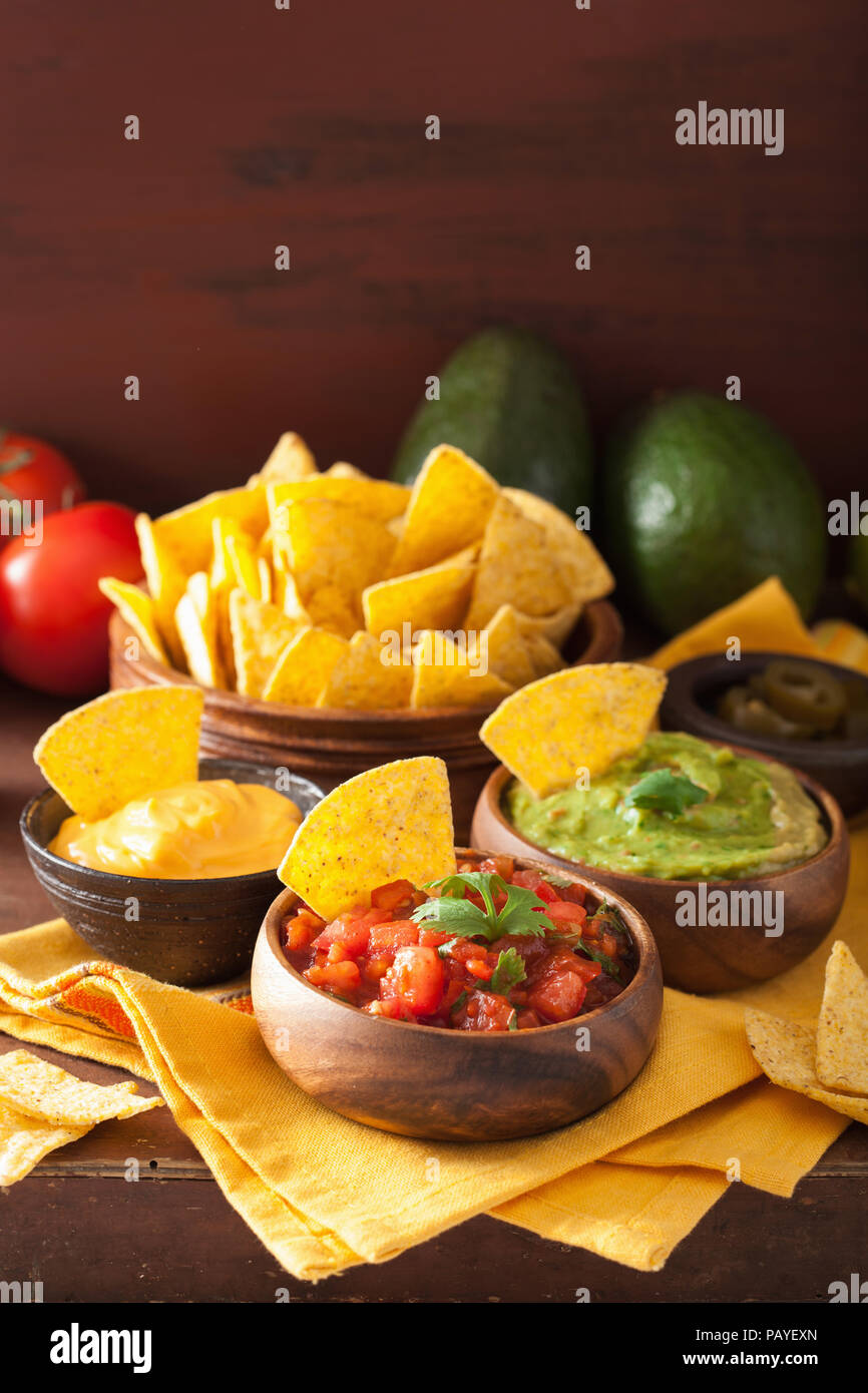 mexican nachos tortilla chips with guacamole, salsa and cheese dip ...
