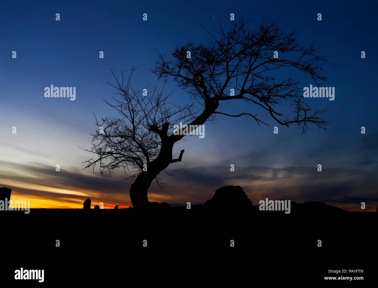 Australia night eerie hi-res stock photography and images - Alamy