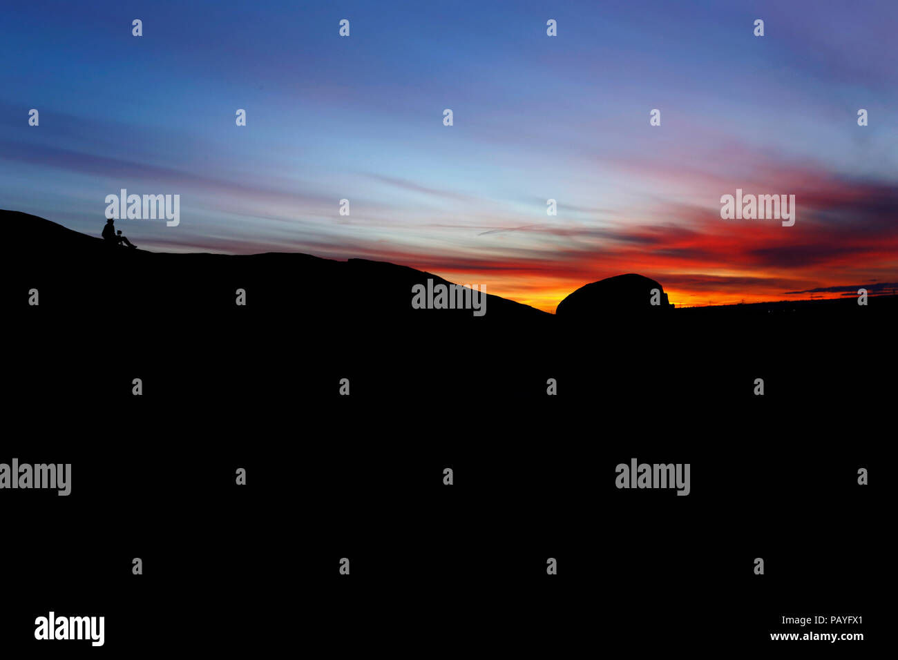 Australian dog silhouette hi-res stock photography and images - Alamy