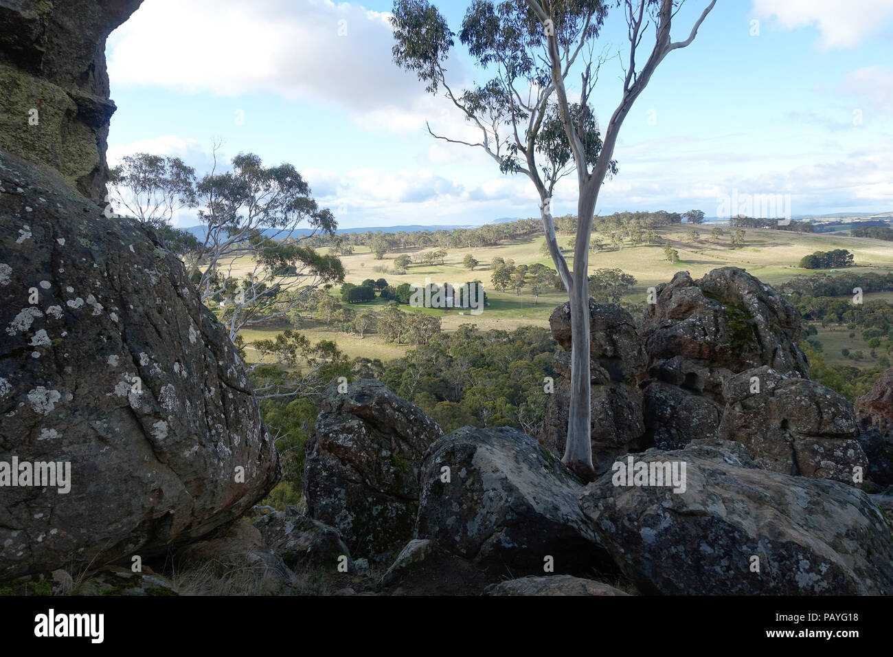 Are Dogs Allowed At Hanging Rock Victoria
