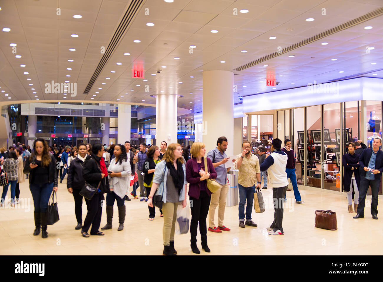 NEW YORK, USA - OCT 8, 2015: Interior of the Madison Square Garden, New ...
