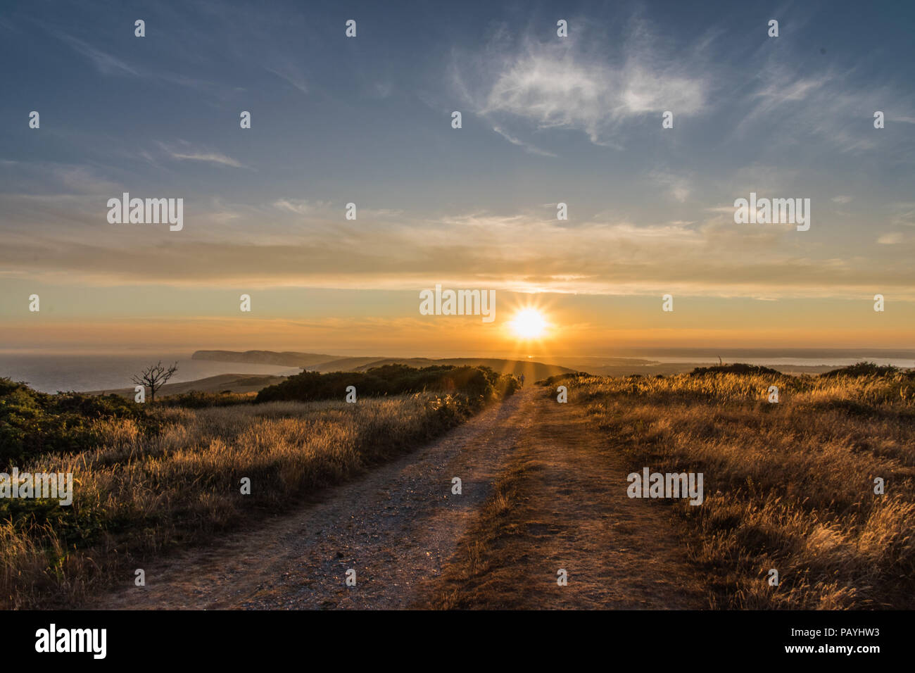 Starburst hi-res stock photography and images - Alamy