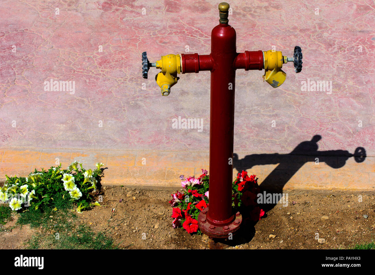 Red fire hydrant with yellow connectors. Fire hydrant or fire pump ...