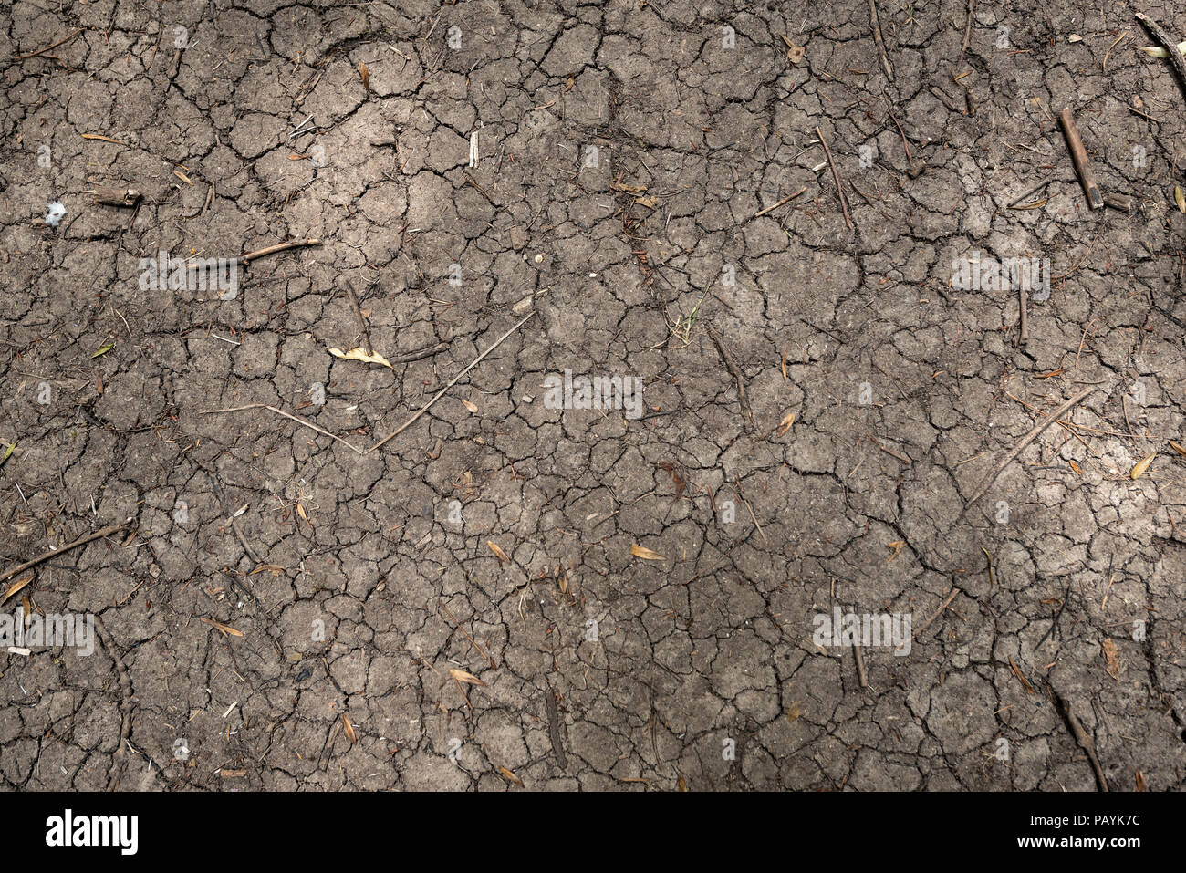 Hot dry spell of weather hi-res stock photography and images - Alamy