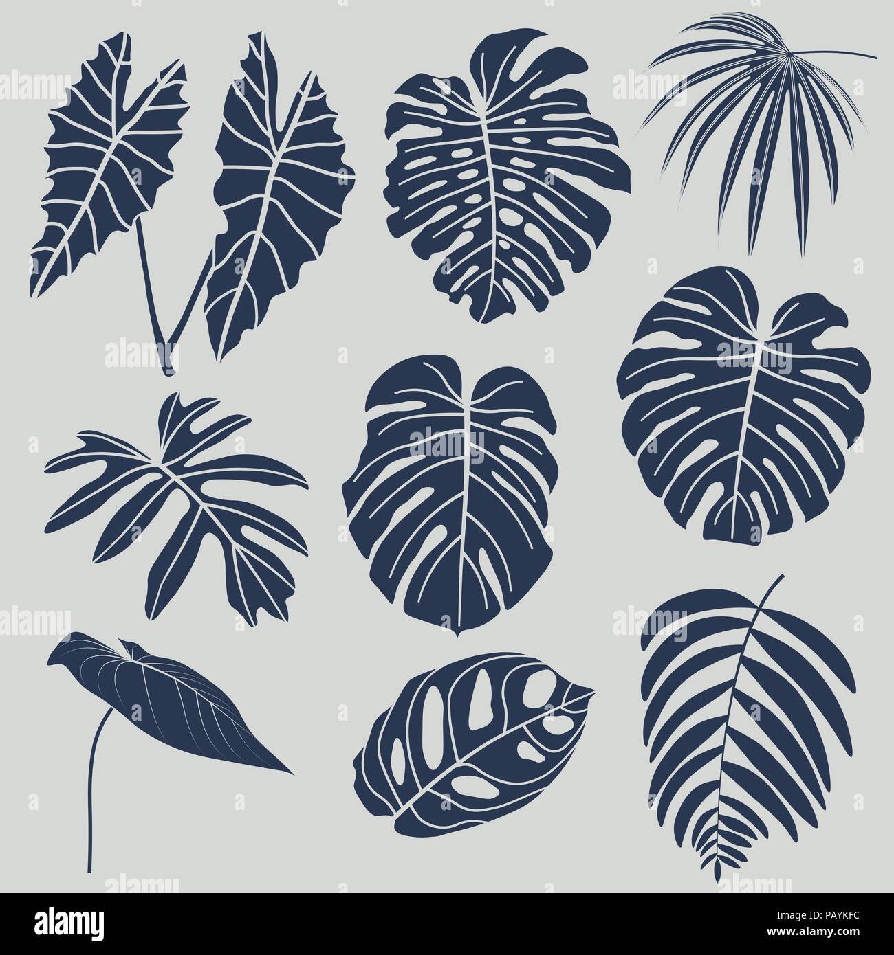Vector set of tropical leaves Stock Vector Image & Art - Alamy