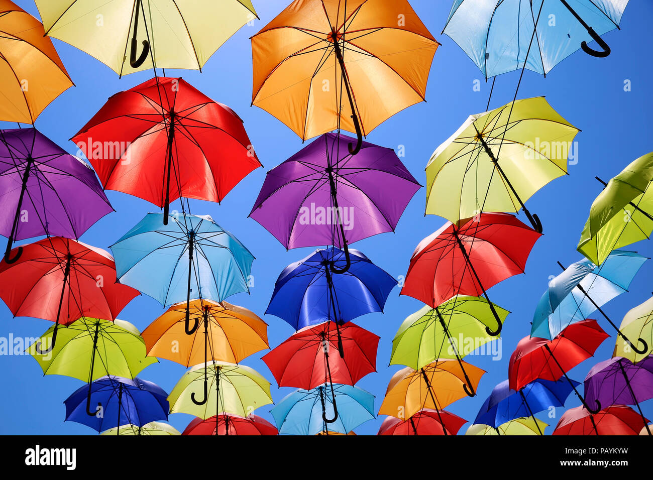 Umbrellas rain colour hi-res stock photography and images - Alamy