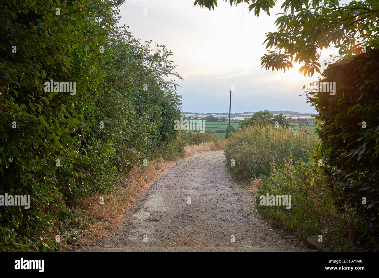 Sun on country lane hi-res stock photography and images - Alamy