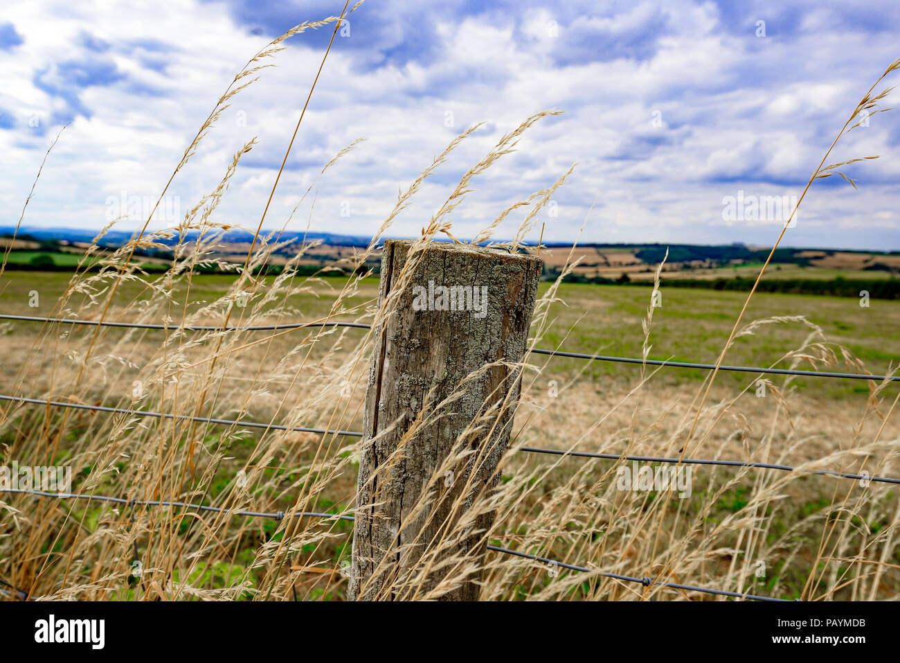 Boundary stones cotswolds hi-res stock photography and images - Alamy