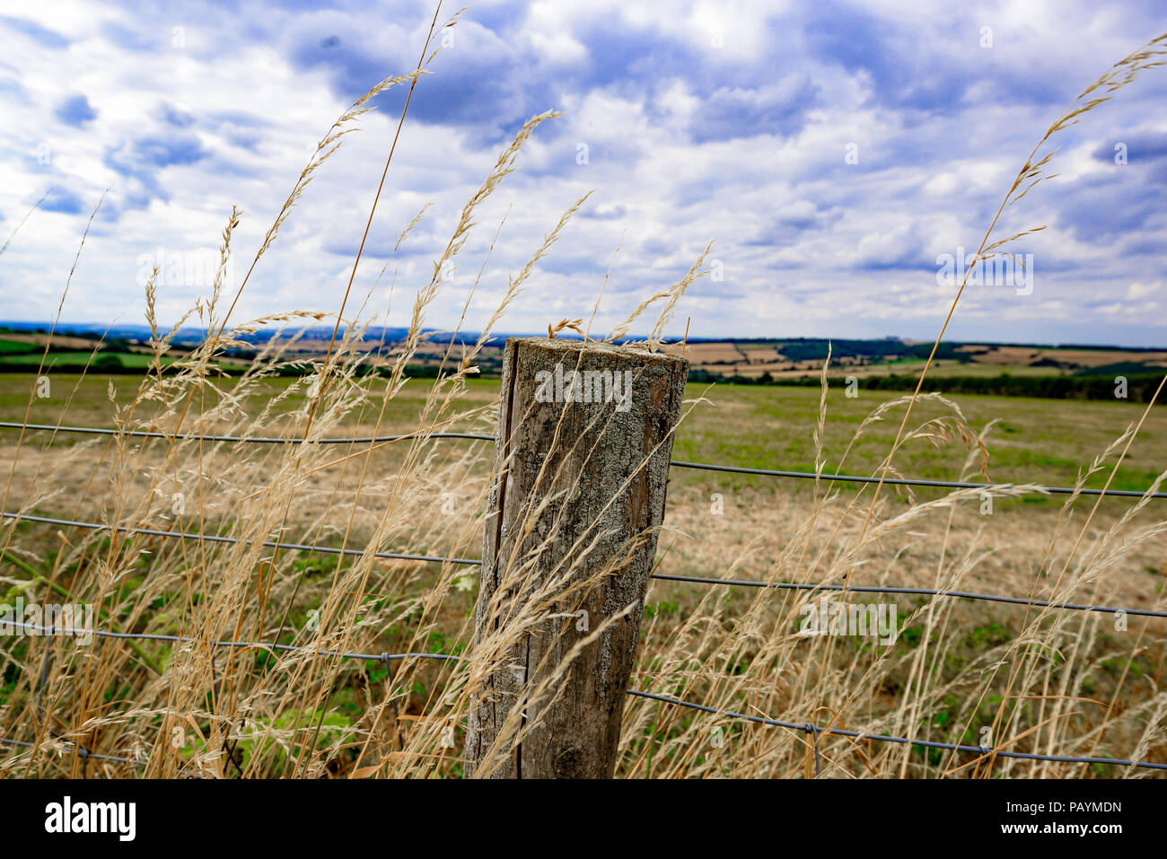 Boundary stones cotswolds hi-res stock photography and images - Alamy